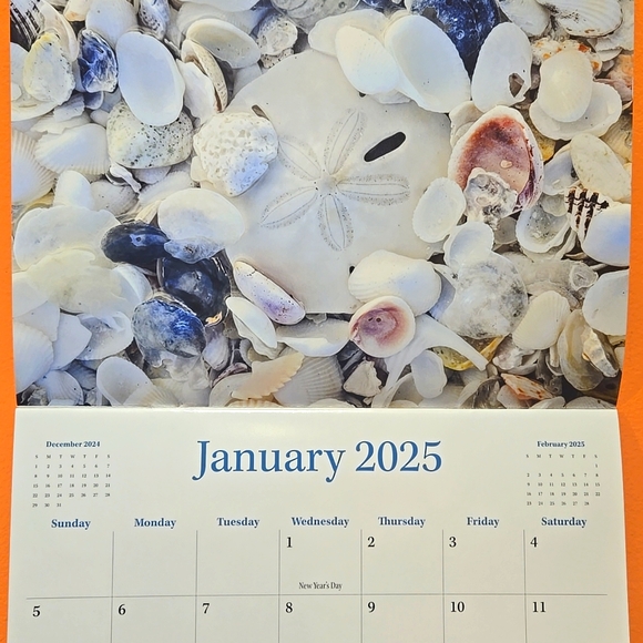 Office | Beach Sea Glass Shells Ocean Scenic Beach Comber 225 Calendar ...